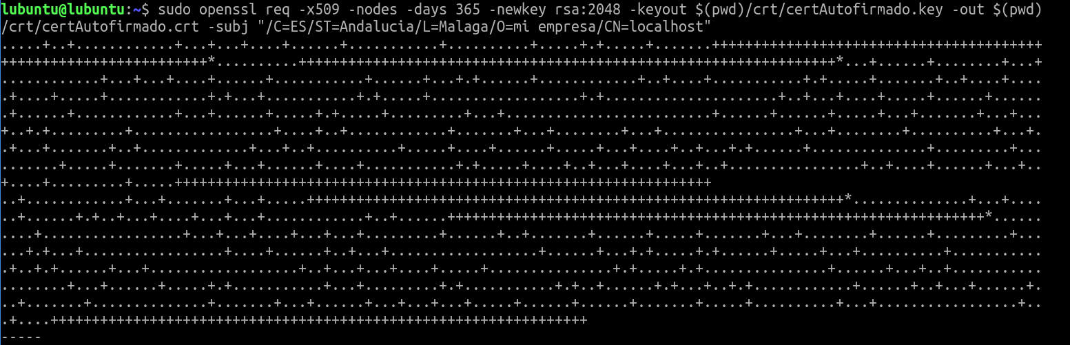 Crear docker nginx con alpine autocertificado ssl – nubelonia